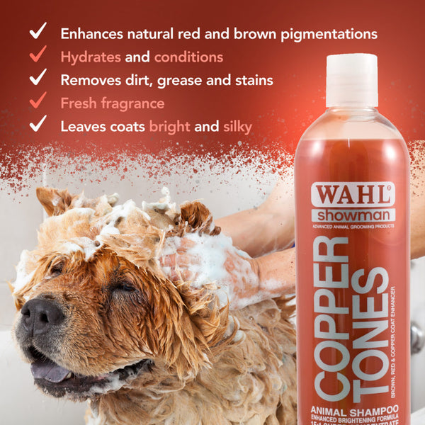 Wahl Shampoo Copper Tones 5lt – Mullinahone Co-op